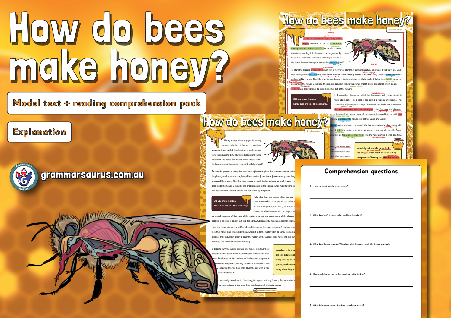 Year 6 Model Text - Procedure & Explanation - How do bees make honey ...