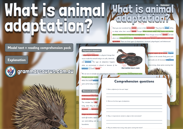 Year 5 Model Text – Procedure & Explanation – What is animal adaptation ...