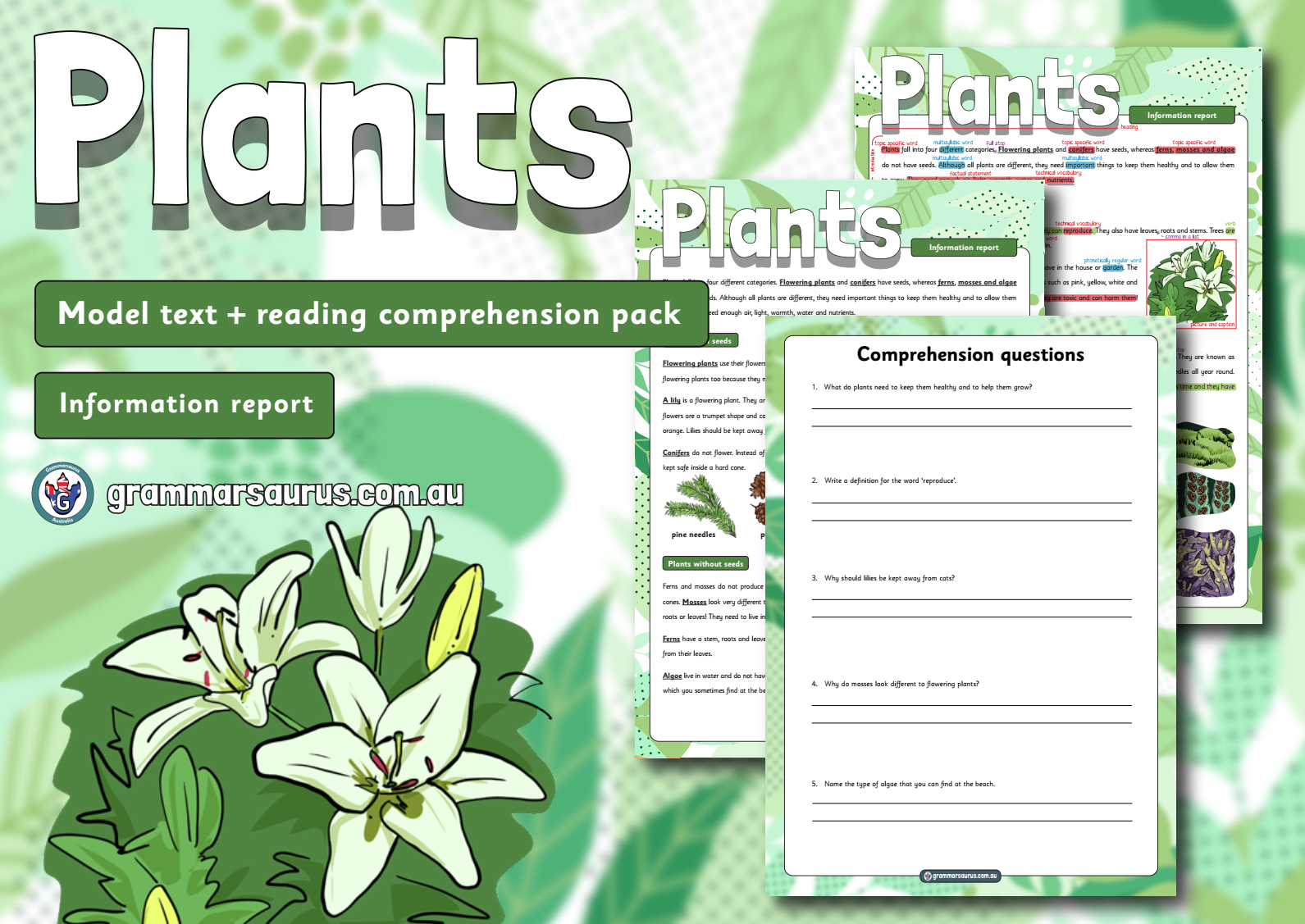 Year 3 Model Text – Report - Plants - Grammarsaurus Australia