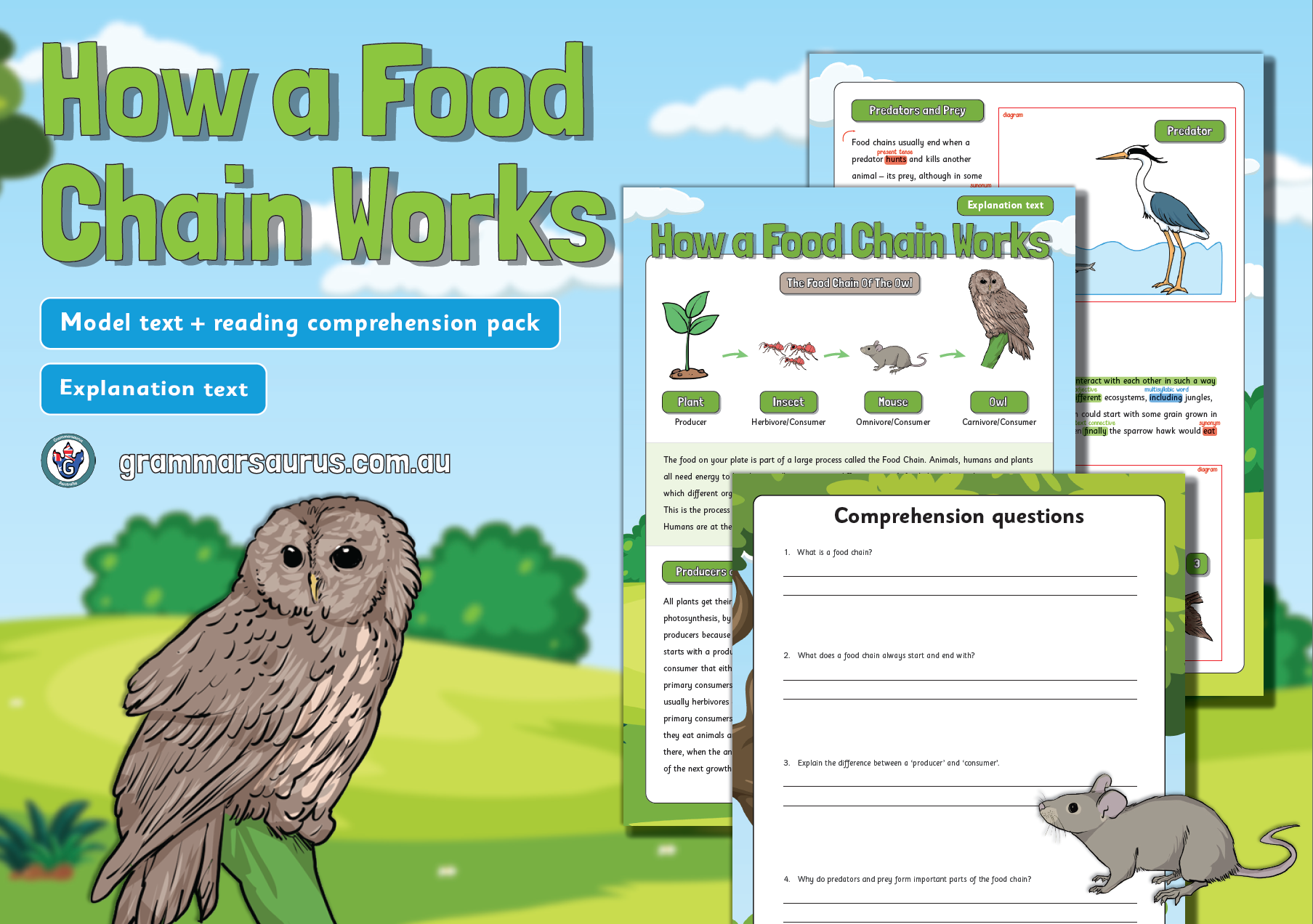 Year 4 Model Text – Explanation – How a Food Chain Works ...