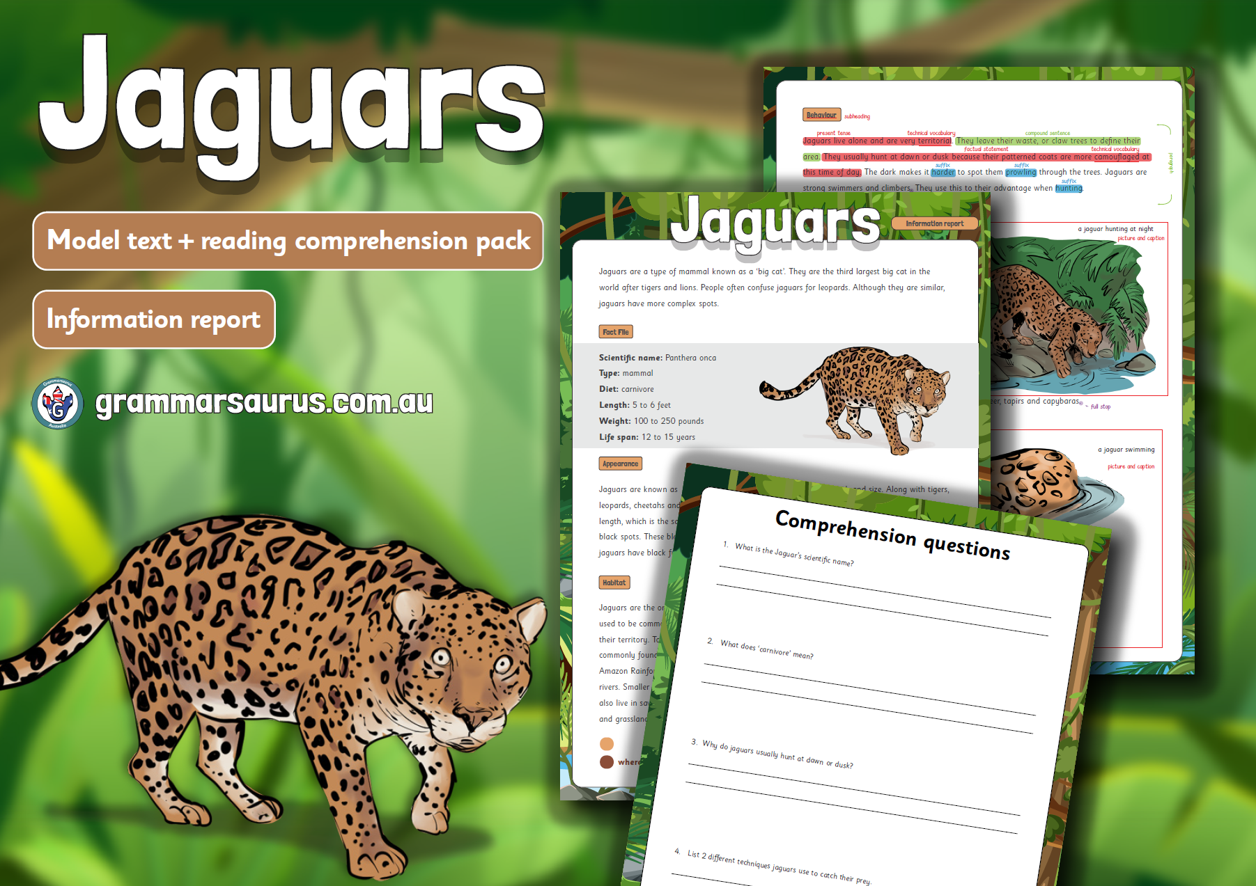 Year 3 Model Text – Report – Jaguars - Grammarsaurus Australia